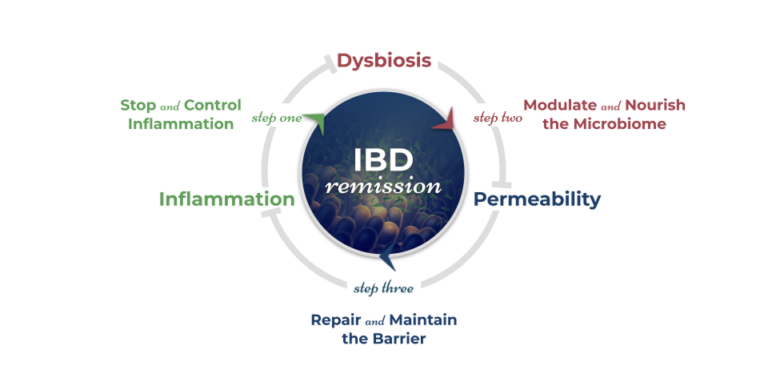 Treatments for Inflammatory Bowel Disease | Systema
